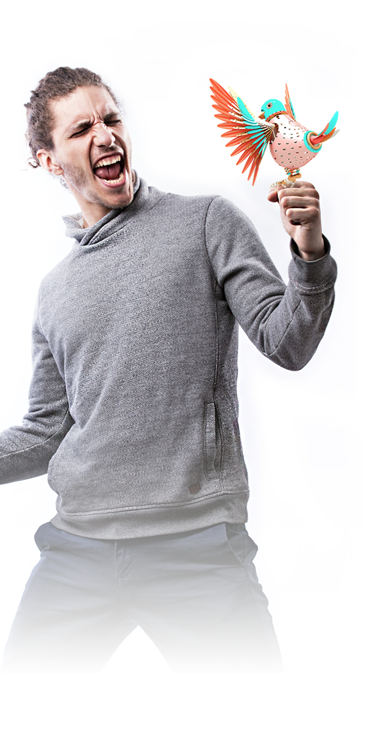 eDesign Interactive | About Us